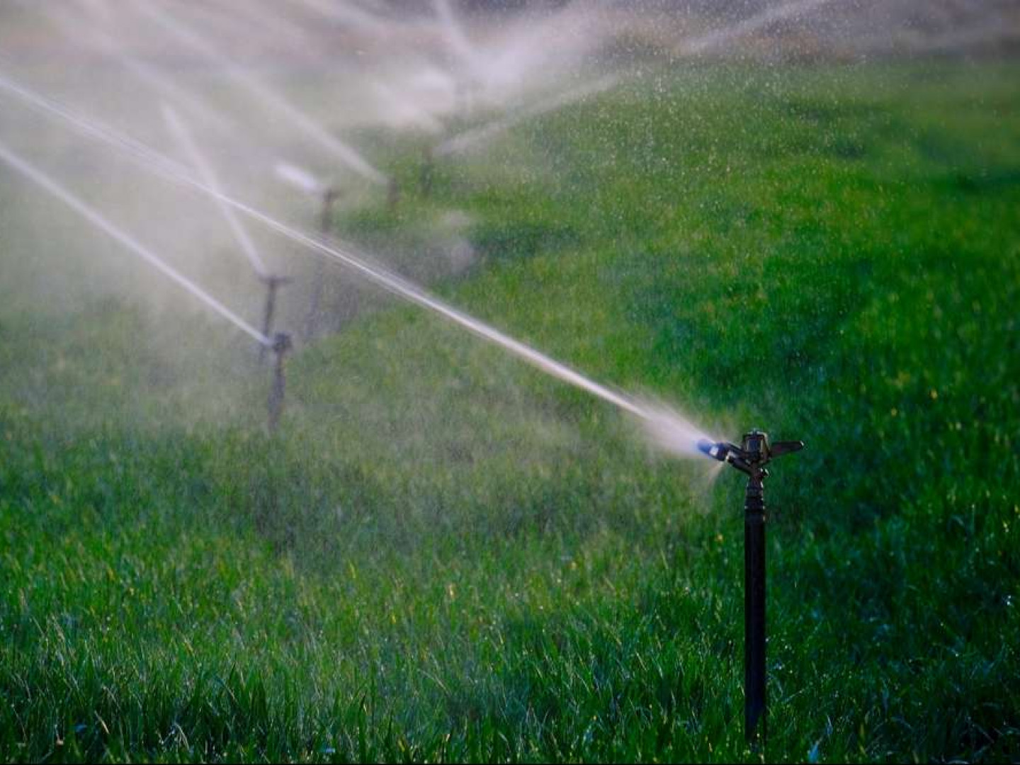 Sprinkler Services | Sterling Landscape Company